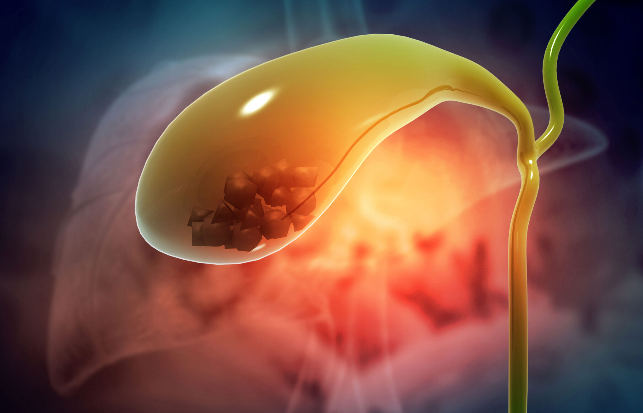 Top Interesting Facts You Didn’t Know About Your Gallbladder | Patrick ...